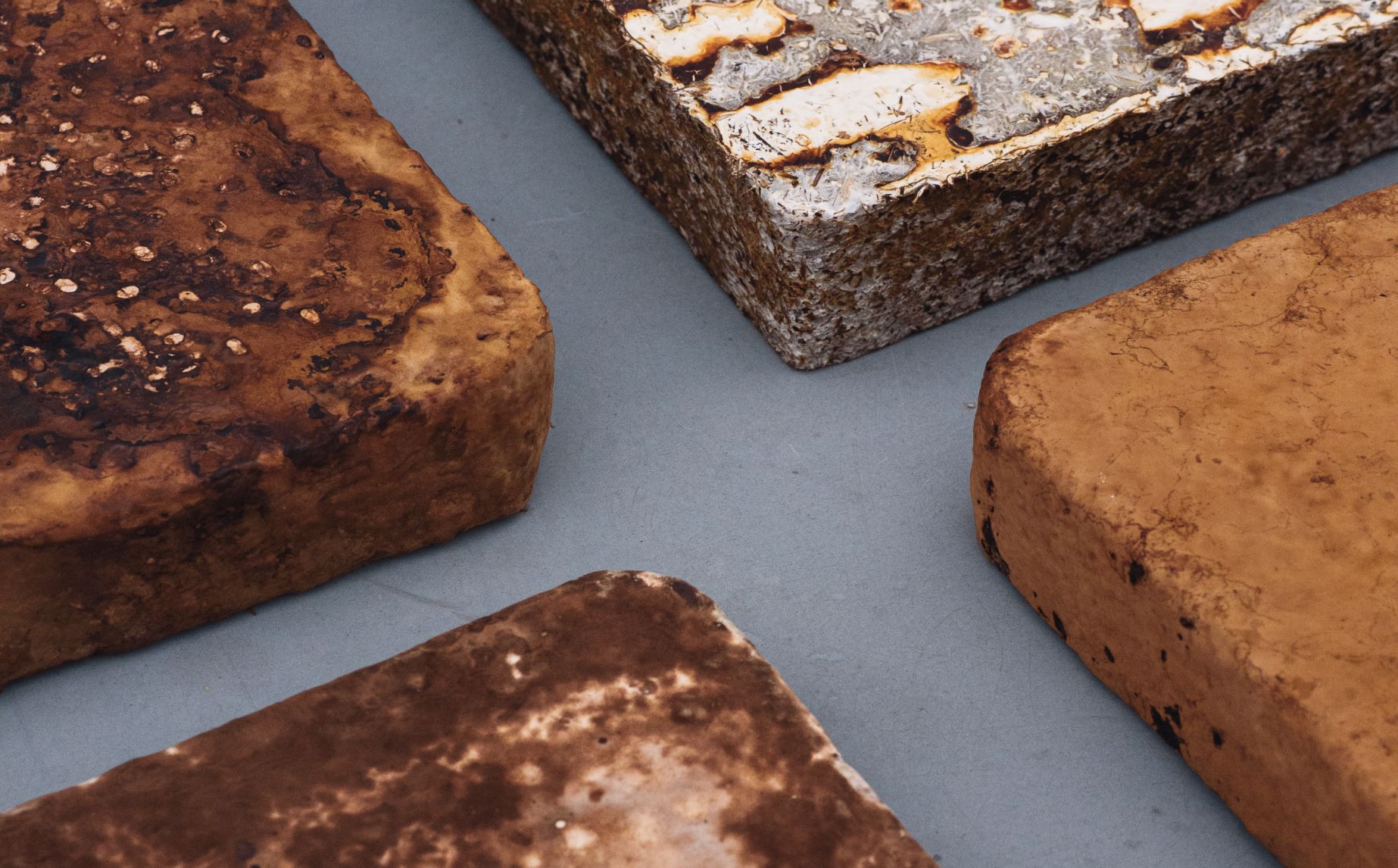 Mush mycotechnology ⋆ Fungi natur